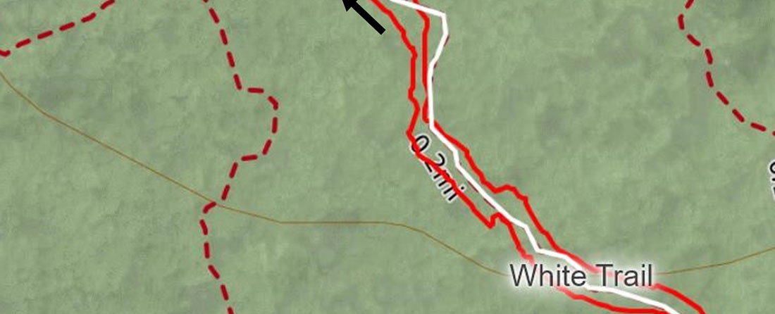 IDL Software Programming Language | Interactive Data Visualization